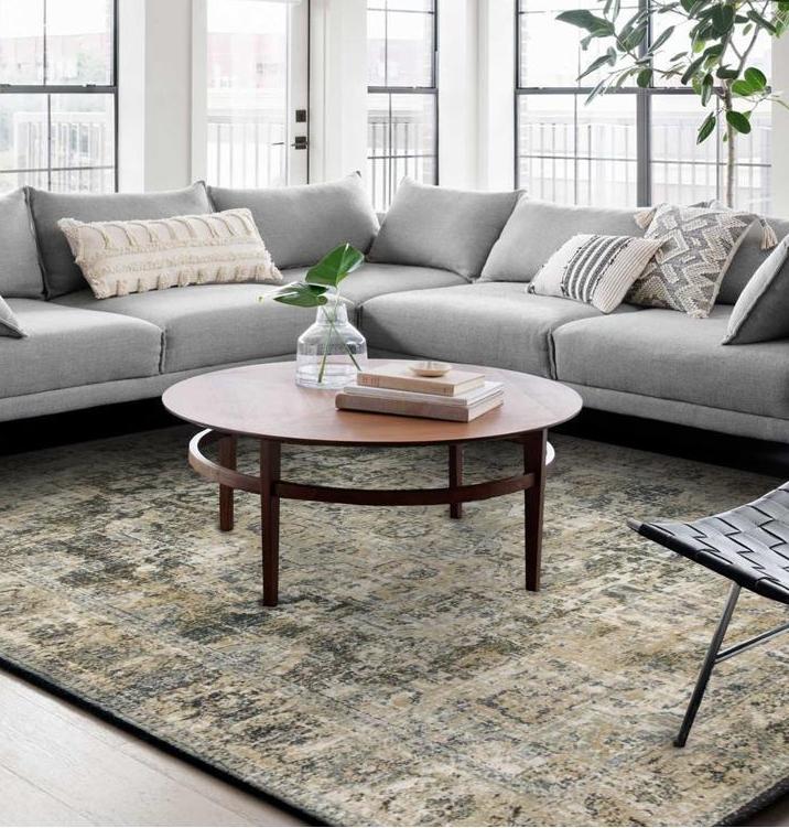 AUSTIN COLLECTION | Cyrus Rugs